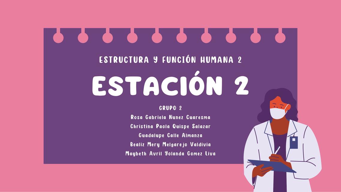ESTACIÓN 2 GUIA13 ESTRUCTURAYFUNCIÓN2 | Angelica | uDocz