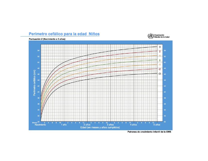 circunferencia cefálica niños | Diego benjamin | uDocz