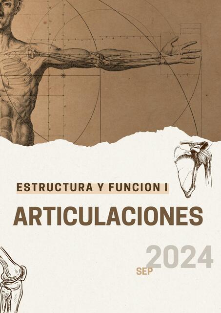 articulaciones | uDocz