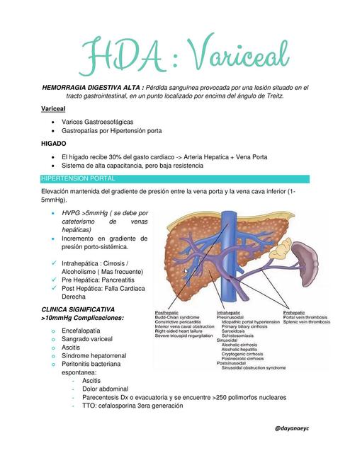 HDA VARICEAL | Dayanaeyc | uDocz