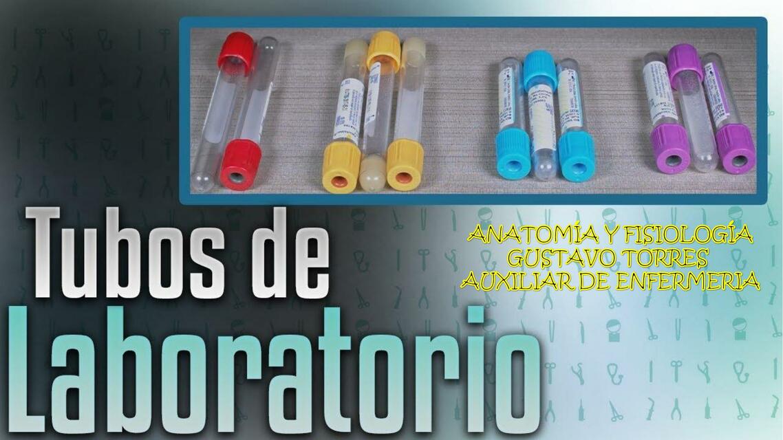 TUBOS DE LABORATORIO ANATOMIA II BLOQUE | Carlos Gustavo Torres Pérez | uDocz