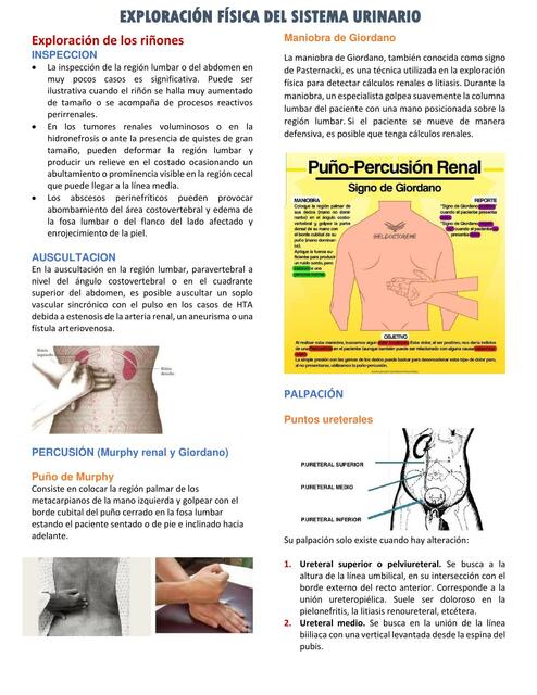 Exploracion fisica del sistema Urinario | Diana | uDocz