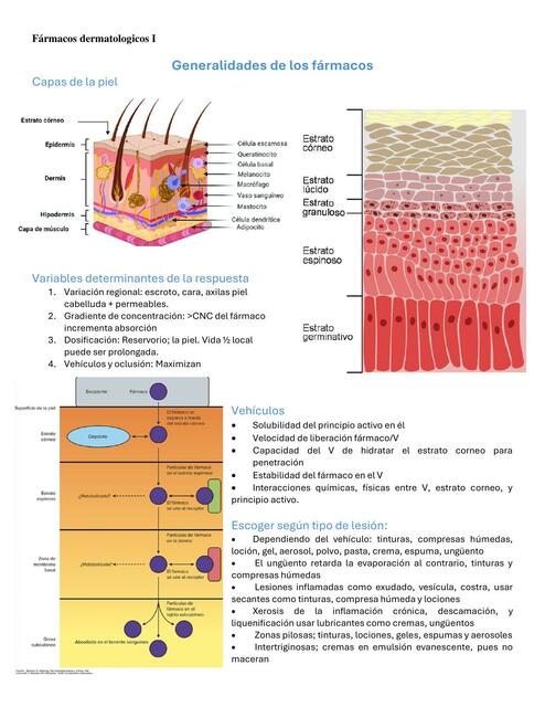 farmacos derma 1 Katzung | Sebastian | uDocz