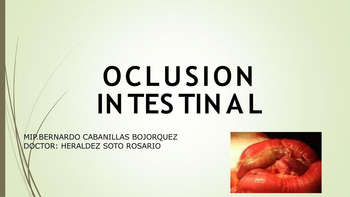 OCLUSION INTESTINAL BERNARDO | Bernardo Cabanillas Bojorquez | uDocz