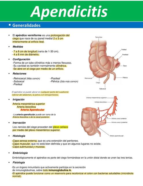 Apuntes Apendicitis SUBRAYADO | toy | uDocz