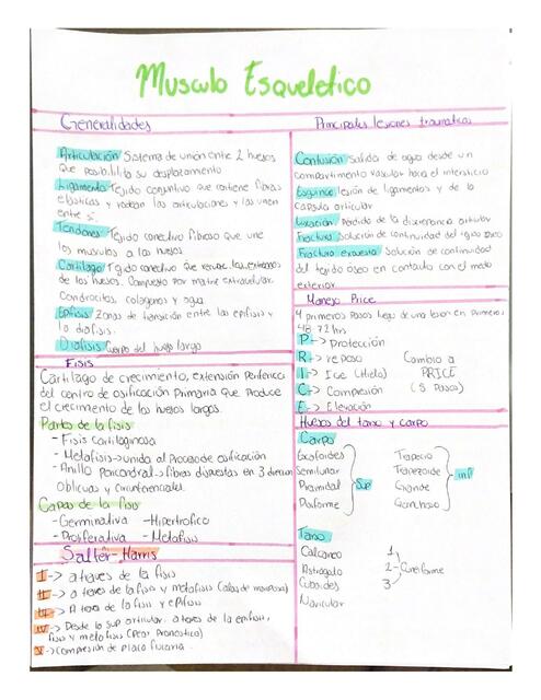Traumatología | López Noeggerath Estephany Arlen | uDocz