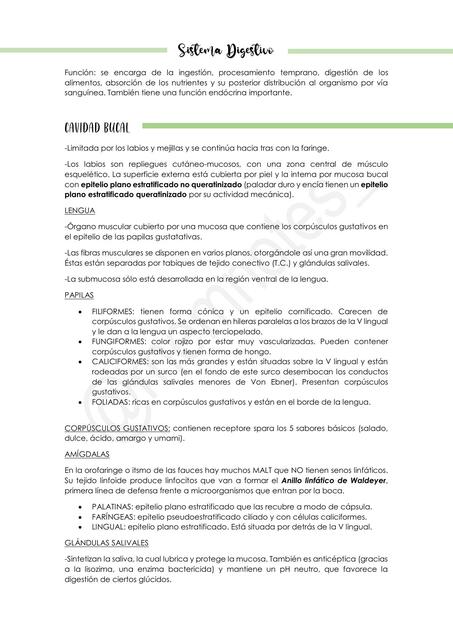 inbound | Daiana | uDocz