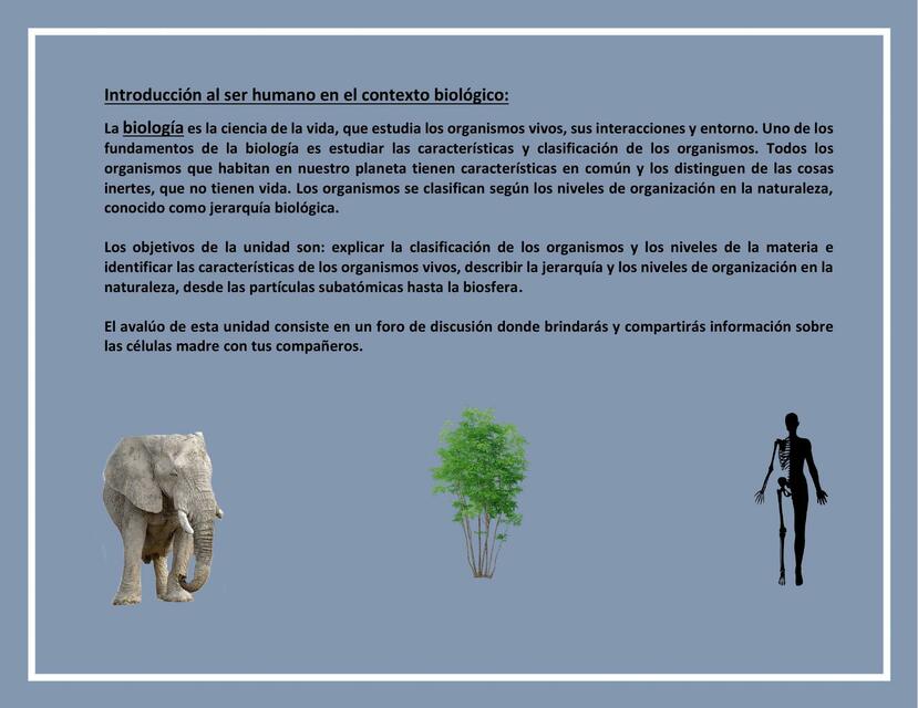 Introducción al ser humano en el contexto biológic | Jeancarlo M. | uDocz
