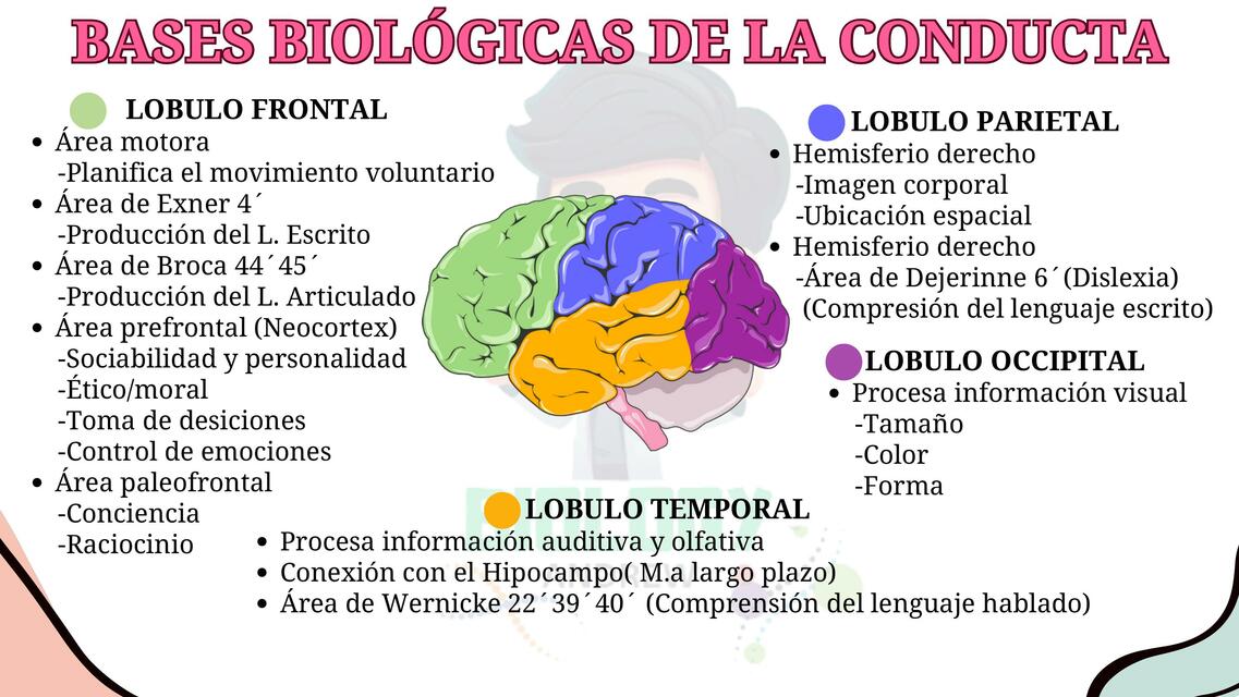 BASES BIOLÓGICAS andrewbiology | cesar alva | uDocz