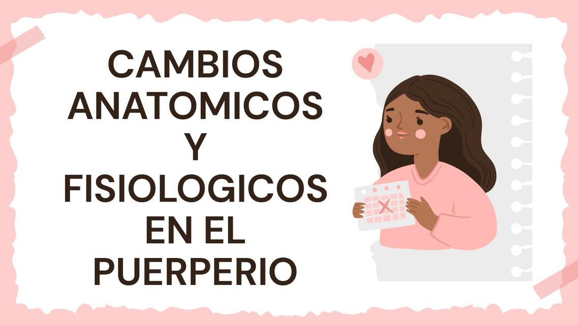 Cambios anatomicos y fisiologicos en el puerperio | Nayeli | uDocz