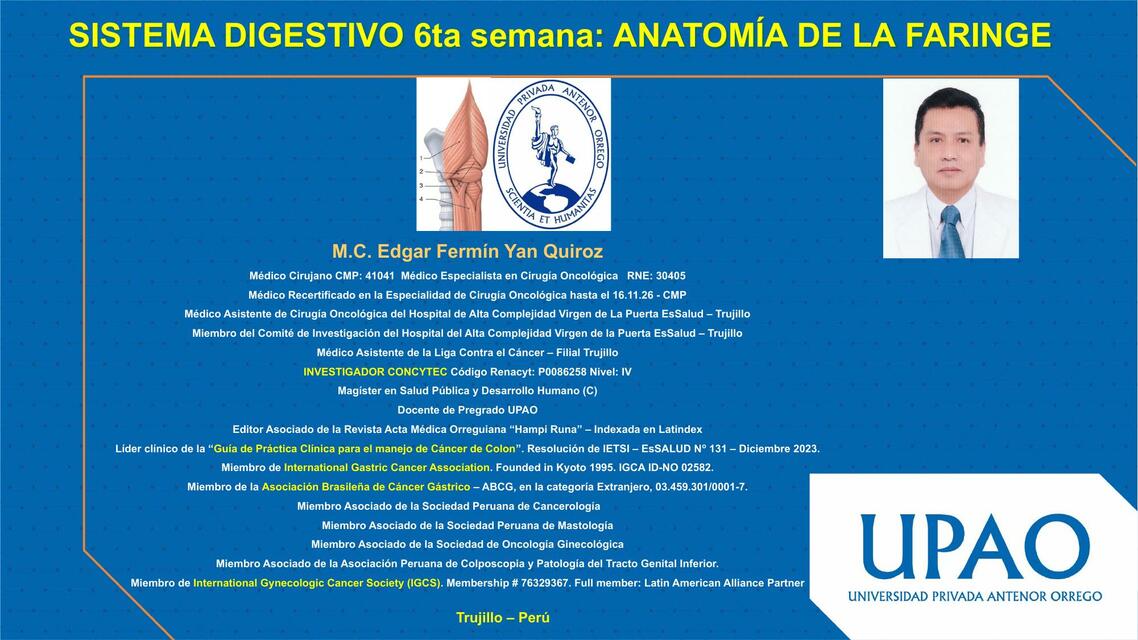 6ta semana Anatomía de la faringe pptx | Antoni | uDocz