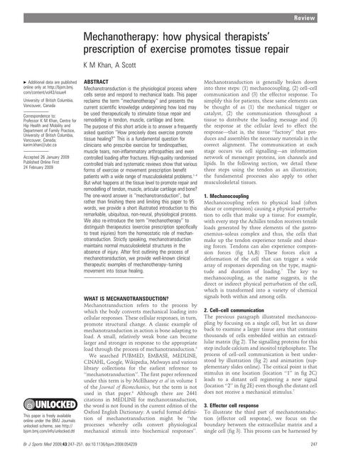 Mechanotherapy | Thiago Risso | uDocz