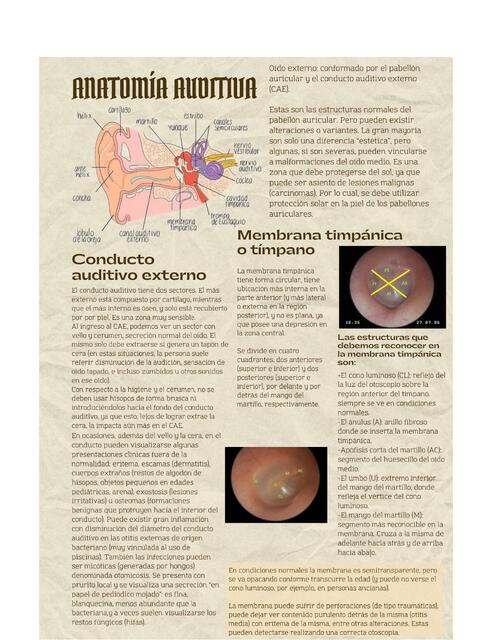 Otoscopia y anatomía auditiva | Aldana Reina | uDocz