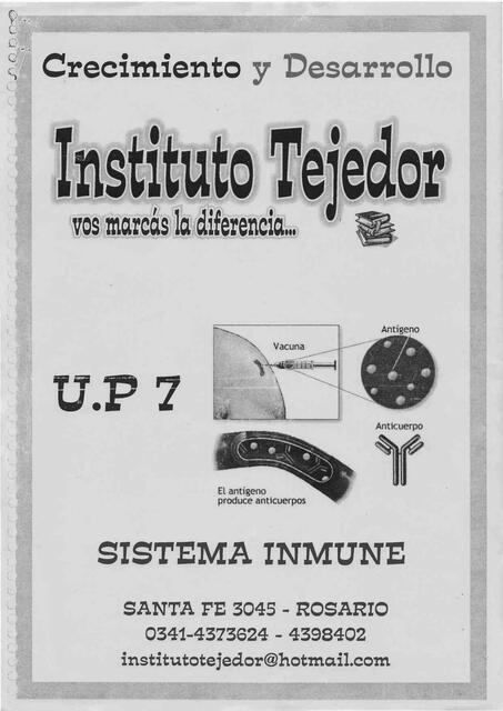 up 7 tejedor cyd | Larissa Silva | uDocz