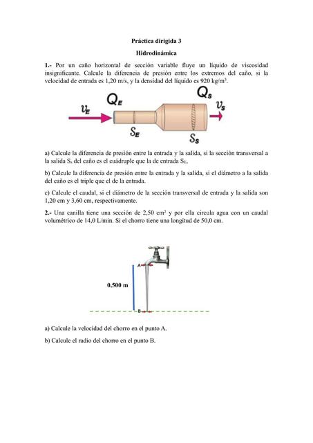 Práctica dirigida 3 1 | Esteban | uDocz