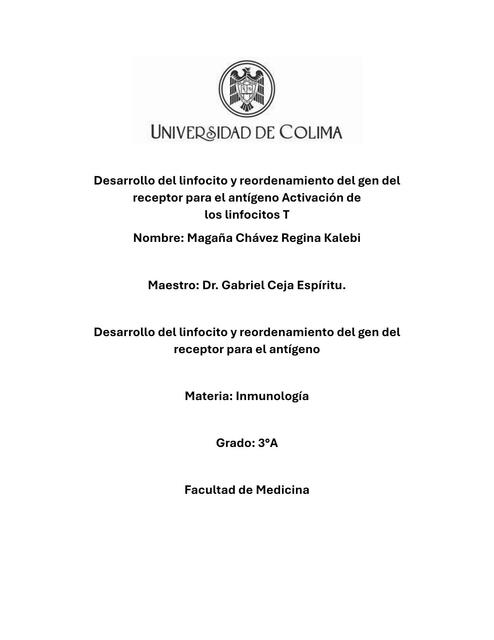 Desarrollo del linfocito y reordenamiento del gen | MAGANA CHAVEZ ...