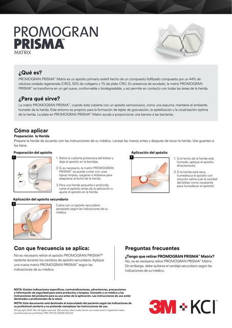 multimedia | paulina corvalan | uDocz