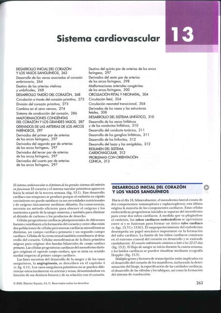 Em Moore Cap 13 | Nataly | uDocz