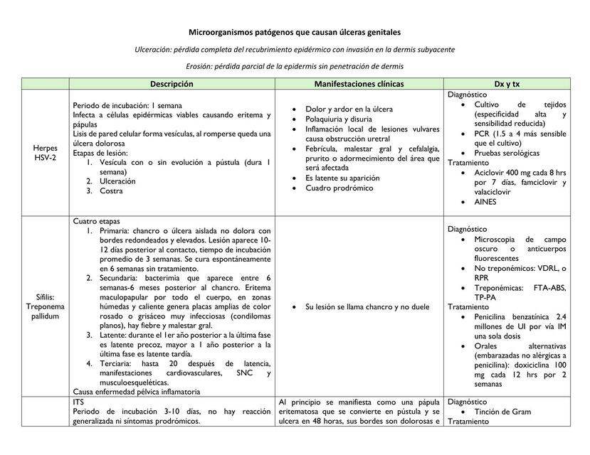 Microorganismos patógenos que causan úlceras genitales | Andrea Marroquin | uDocz