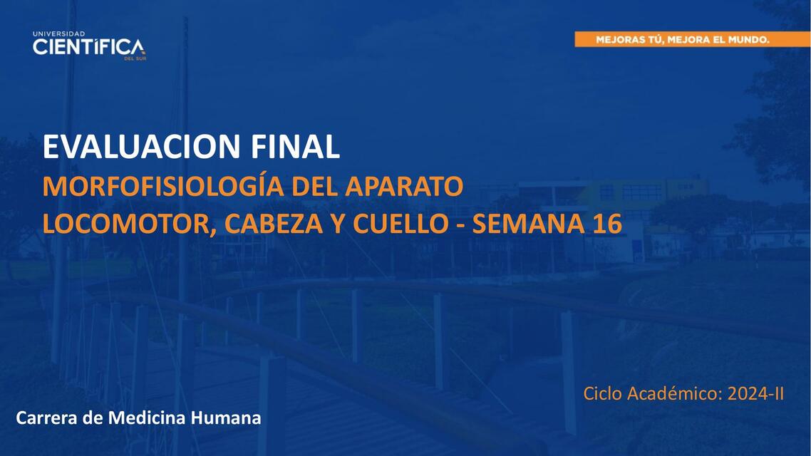 PPT MORF APARATO LOCOMO CAB Y C SEM 16 SESION 03 2 | Yoselin Camila | uDocz