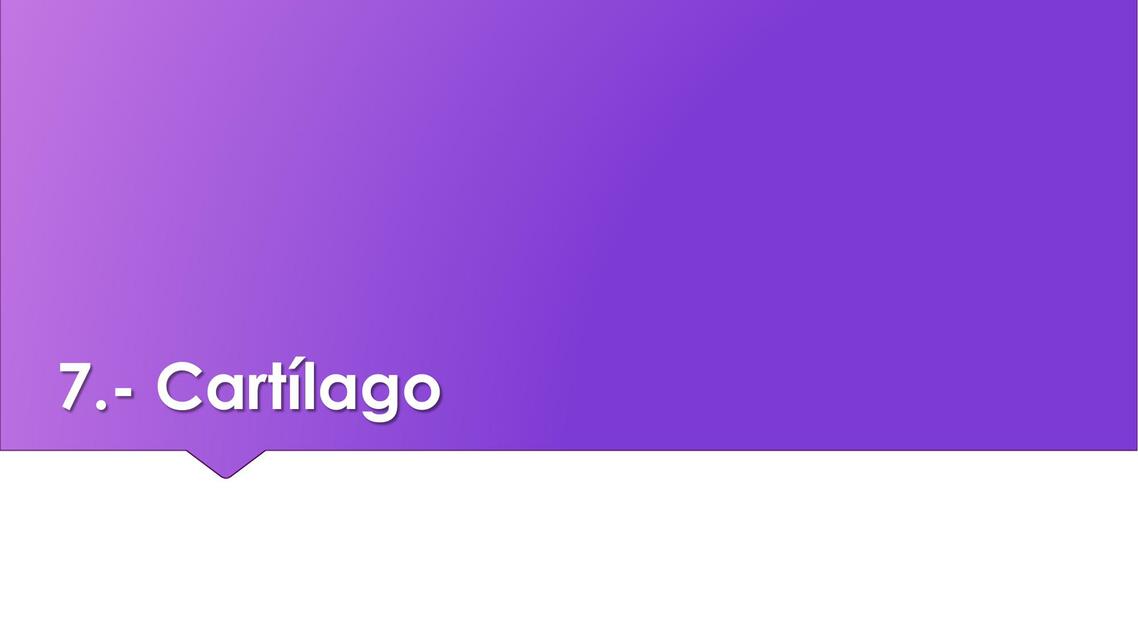 Cartílago | Giezi Del Angel | uDocz