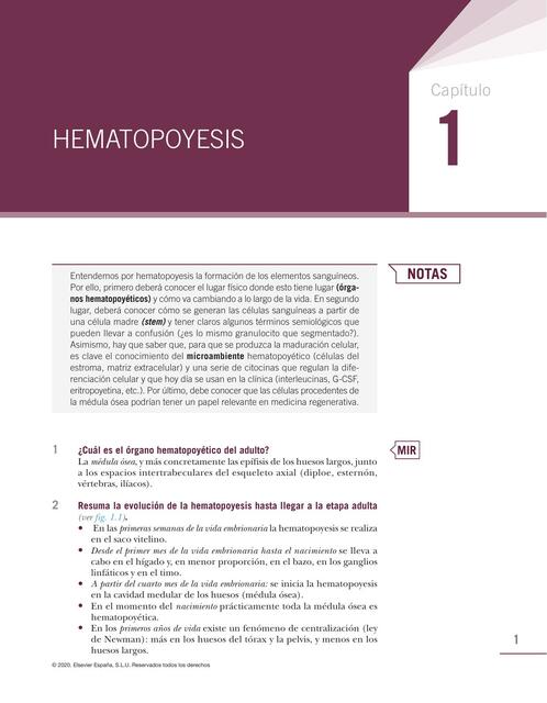 Capítulo 01 Hematopoyesis | Adriana | uDocz