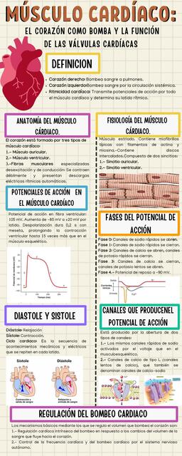 INFOGRAFIA CAP 9 FISIOLOGIA GUYTON 3 | Dani | uDocz
