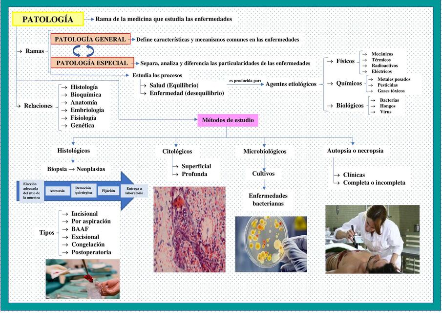 PATOLOGÍA GENERAL ESQUEMA | Rosa Elena Salazar Reyes | uDocz