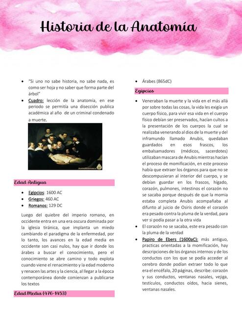 clase 1 morfo | Mariaa Flores | uDocz