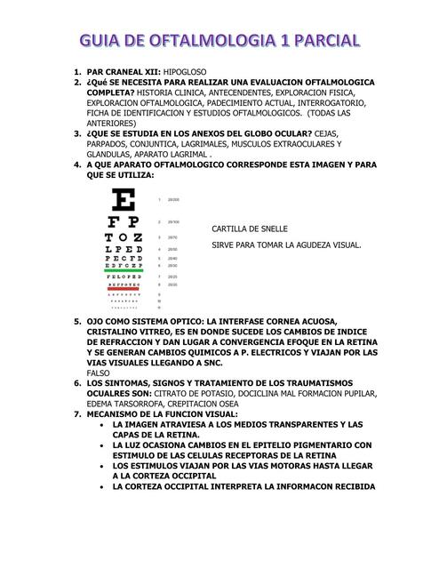 OFTALMO GUIA PRIMER PARCIAL | ALEJANFRA Palma | uDocz