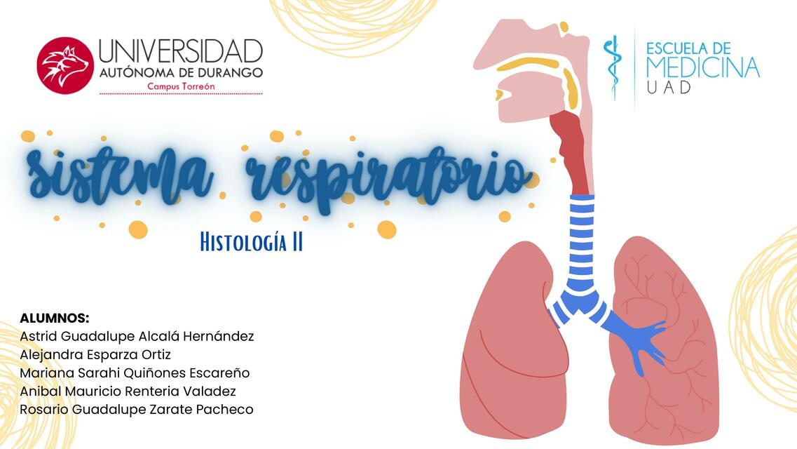 HISTO A RESPIRATORIO | Rosario | uDocz