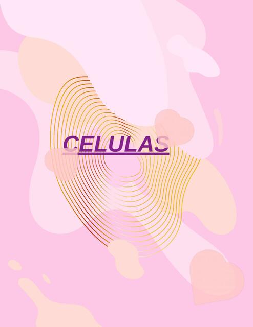 Celulas | marax | uDocz