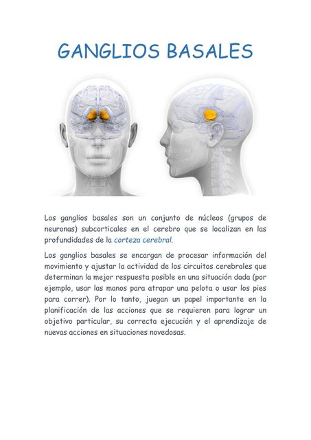 GANGLIOS BASALES | Carlos Alberto Cardenas | uDocz