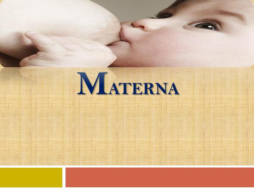 Materna | Oscar | uDocz