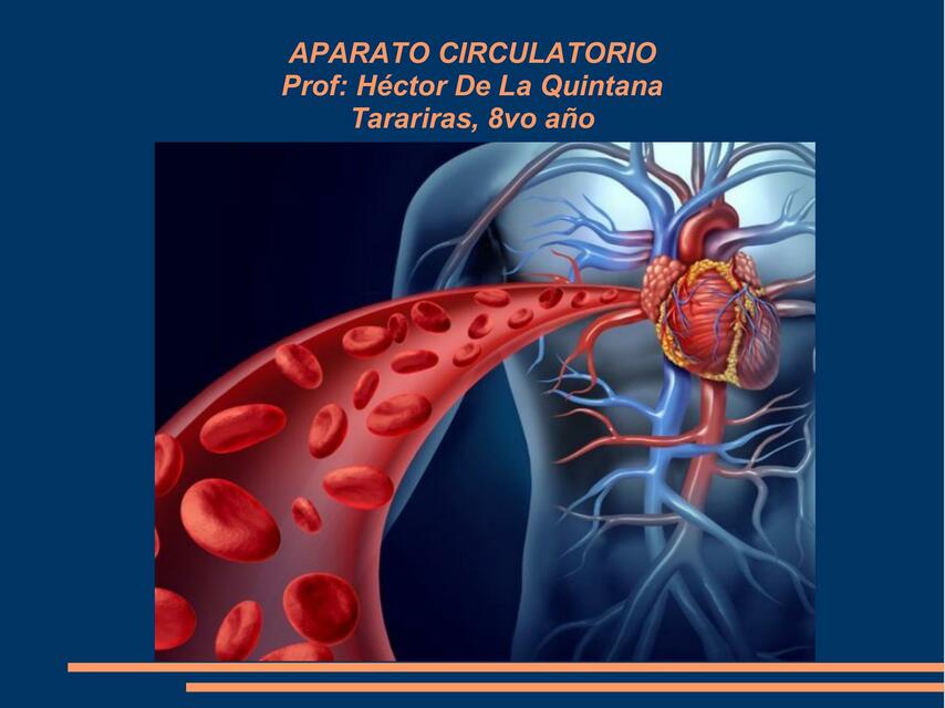 Aparato circulatorio | Agustín | uDocz