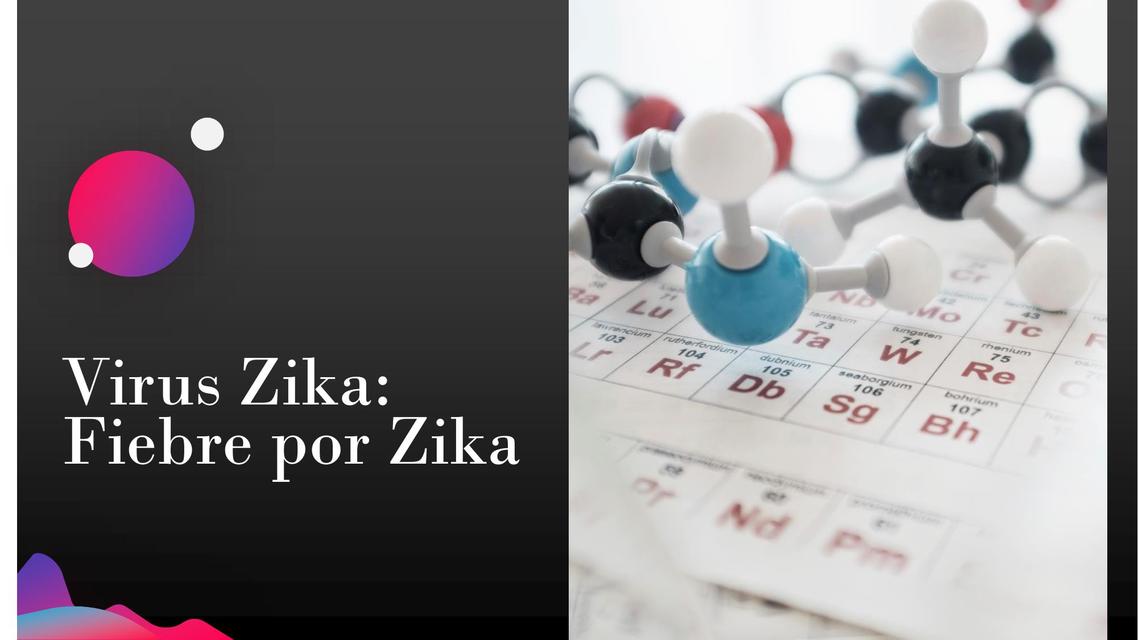 Virus Zika | Angelica Gandarilla | uDocz