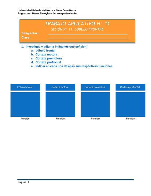 Actividad N11 | Java | uDocz