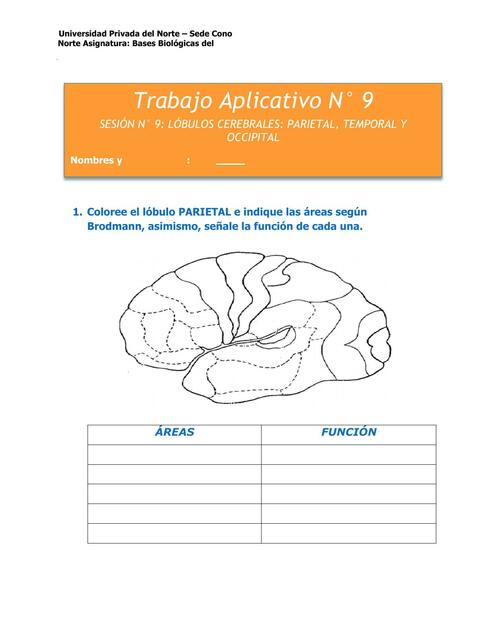 Trabajo aplicativo | Java | uDocz