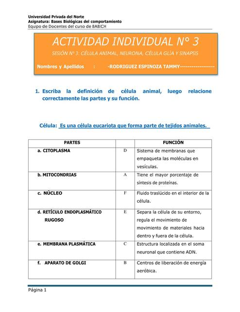 ACTIVIDAD N 3 resueltoooo ange | Java | uDocz