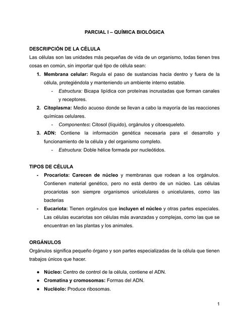 RESUMEN QUIMICA BIOLOGICA | Sofia | uDocz RESUMEN QUIMICA BIOLOGICA | Sofia | uDocz
