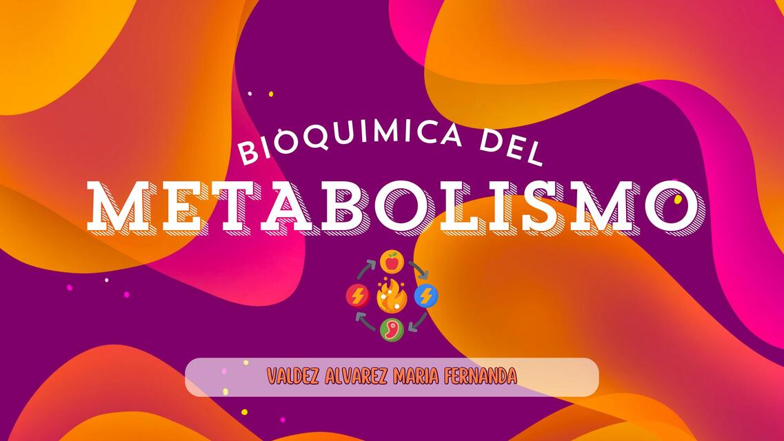 Flashcards de que es metabolismo | Por Maria Fernanda Valdez Alvarez ...