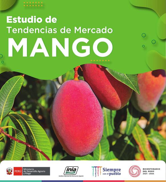 Estudio de tendencias de mercado mango | Rosmery Salazar | uDocz