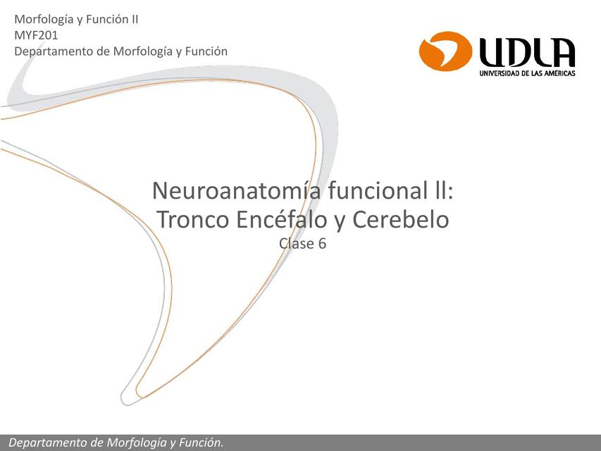 Clase 6 Neuroanatomía II Tronco Encéfalo Cerebelo | Camila Parra | uDocz