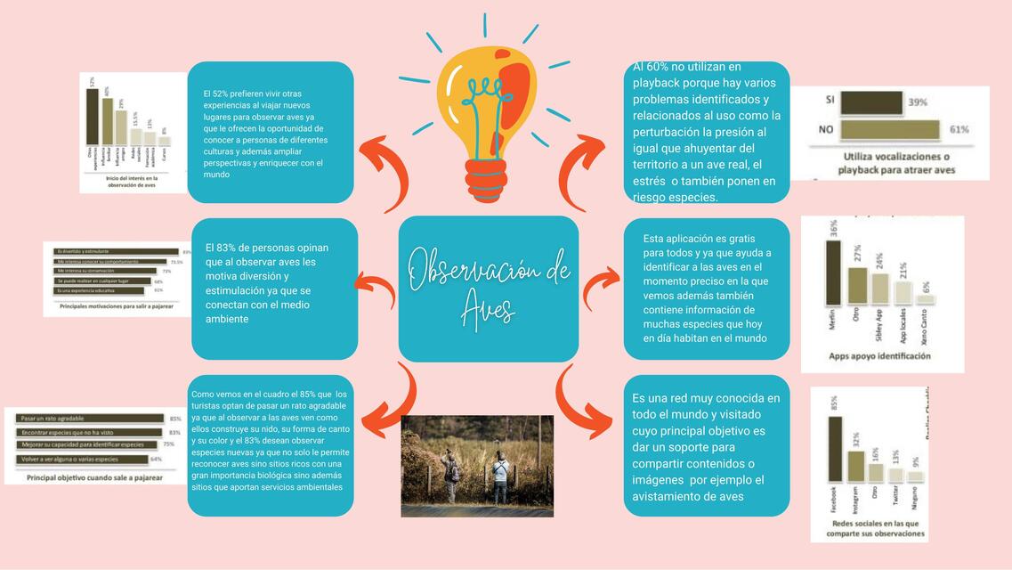avistamiento de aves | JOSE MANUEL | uDocz