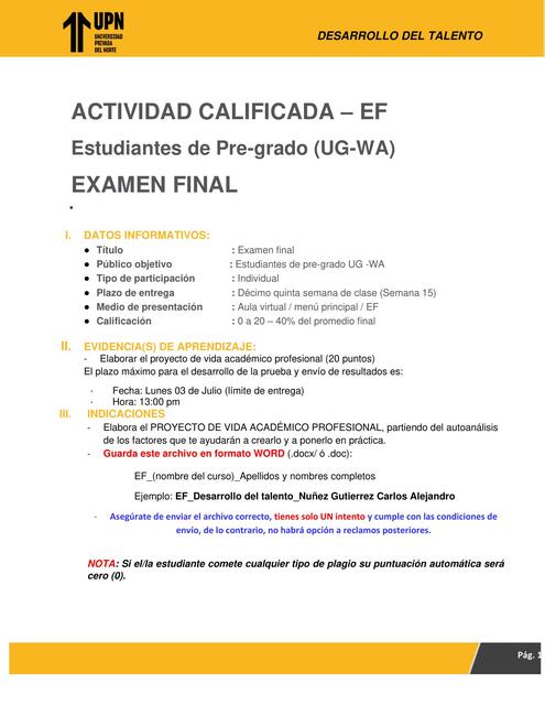 FORMATO DE EXAMEN FINAL 1 | Essy | uDocz