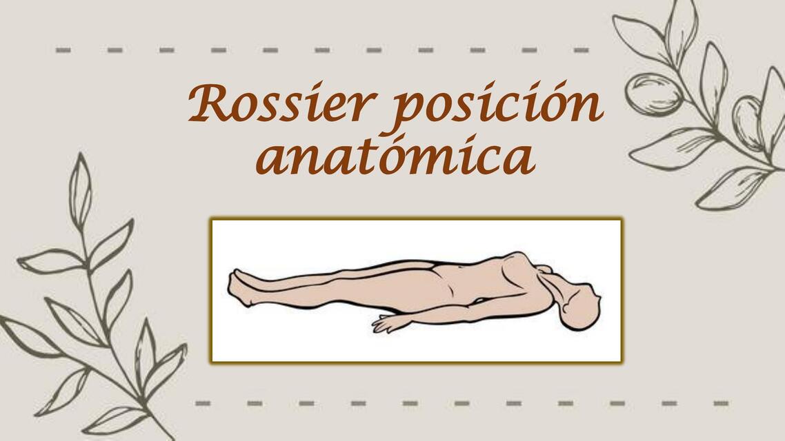 Rossier posición anatómica Brigitte | Brigitte | uDocz