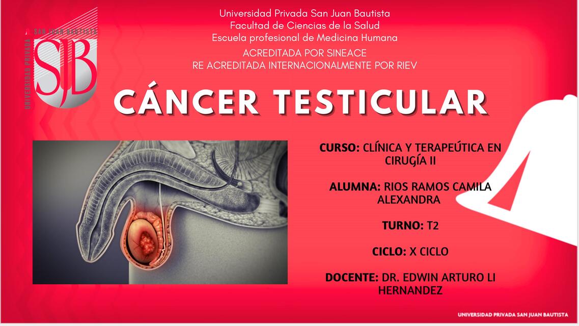 Rios Ramos Camila Alexandra CÁncer Testicular 2 Camila Rios Ramos Udocz