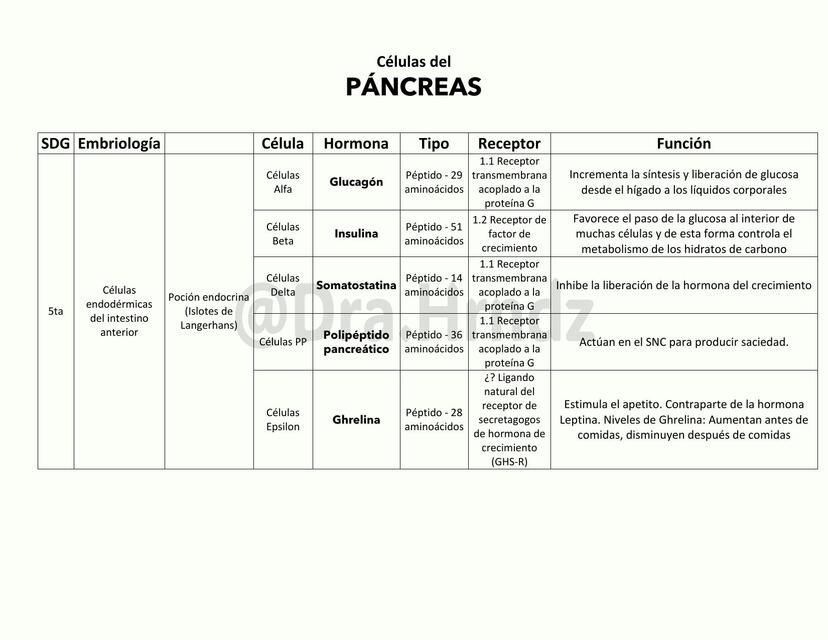 CÉLULAS/HORMONAS DEL PÁNCREAS @Dra.Hrndz | @DraHrndz | uDocz CÉLULAS/HORMONAS DEL PÁNCREAS @Dra.Hrndz | @DraHrndz | uDocz