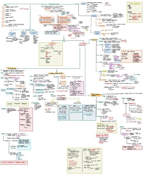 DHC HTP Final | Fernanda | uDocz