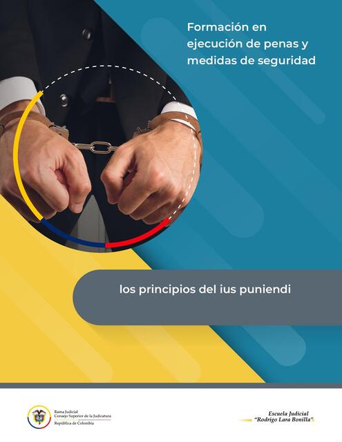 los principios del ius puniendi | Adry MG | uDocz